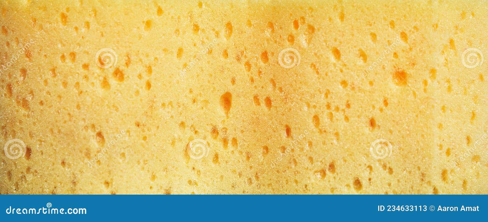 Beautiful Sponge Texture Image Stock Image - Image of rough, texture ...