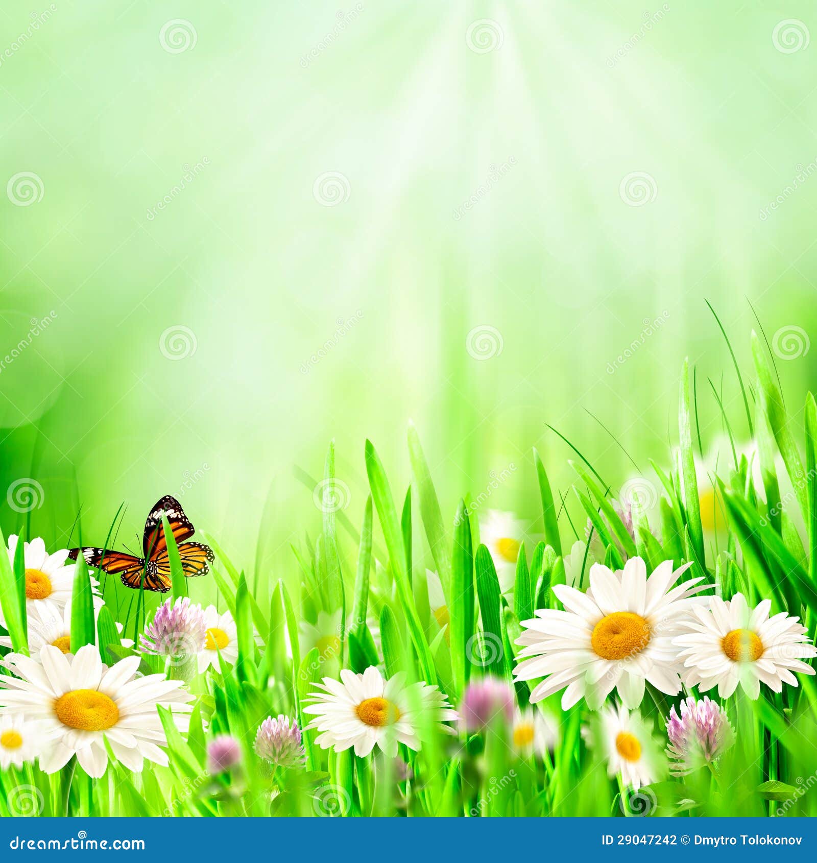 Beautiful Spring Backgrounds Stock Illustration - Illustration of ...