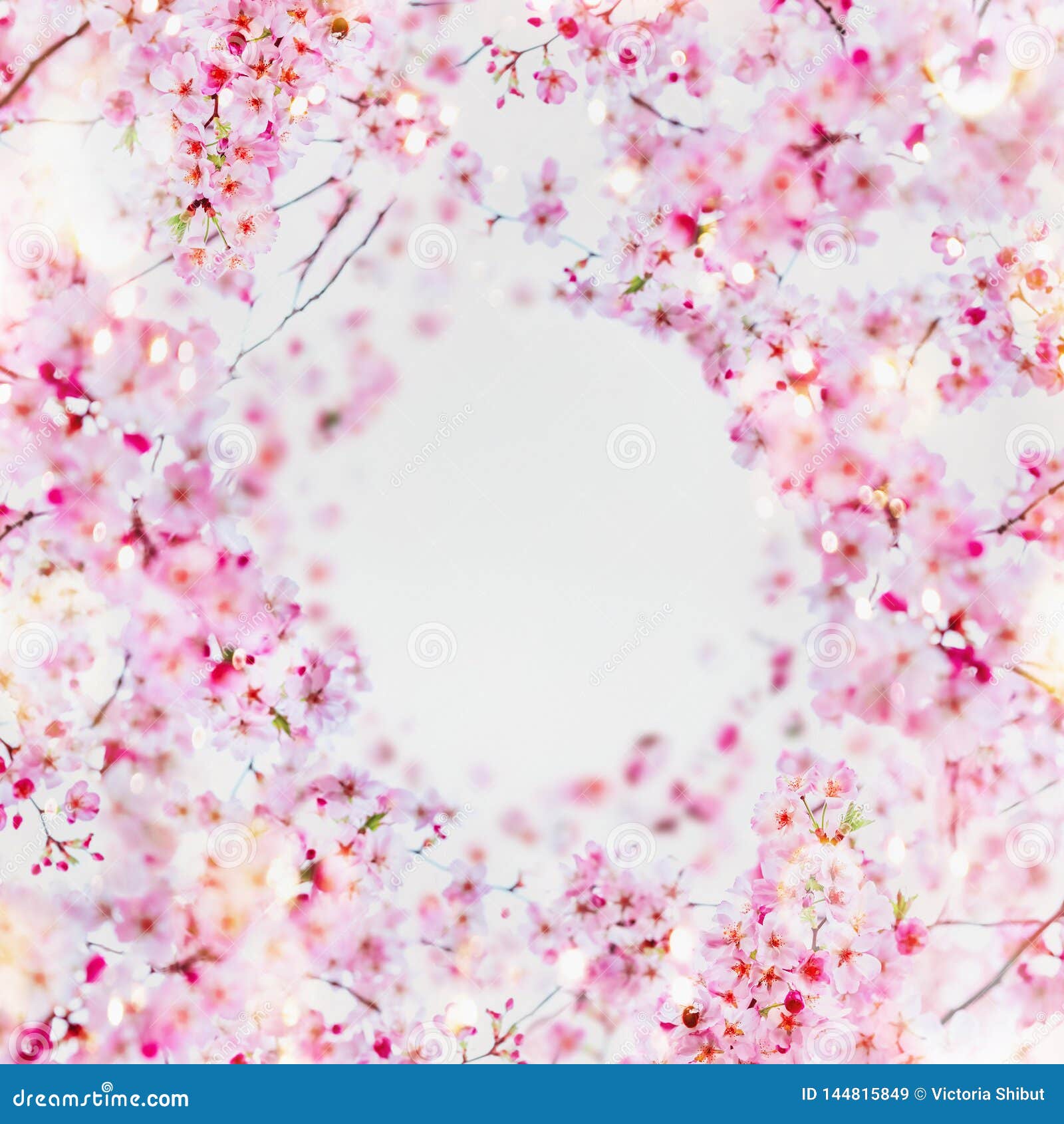 506 Cherry Blossom Circle Stock Photos - Free & Royalty-Free Stock ...