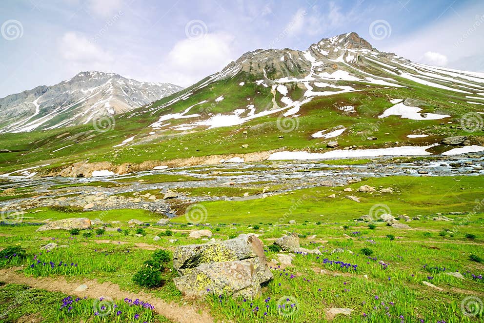 Beautiful spring colors stock image. Image of frhlingstag - 42693983