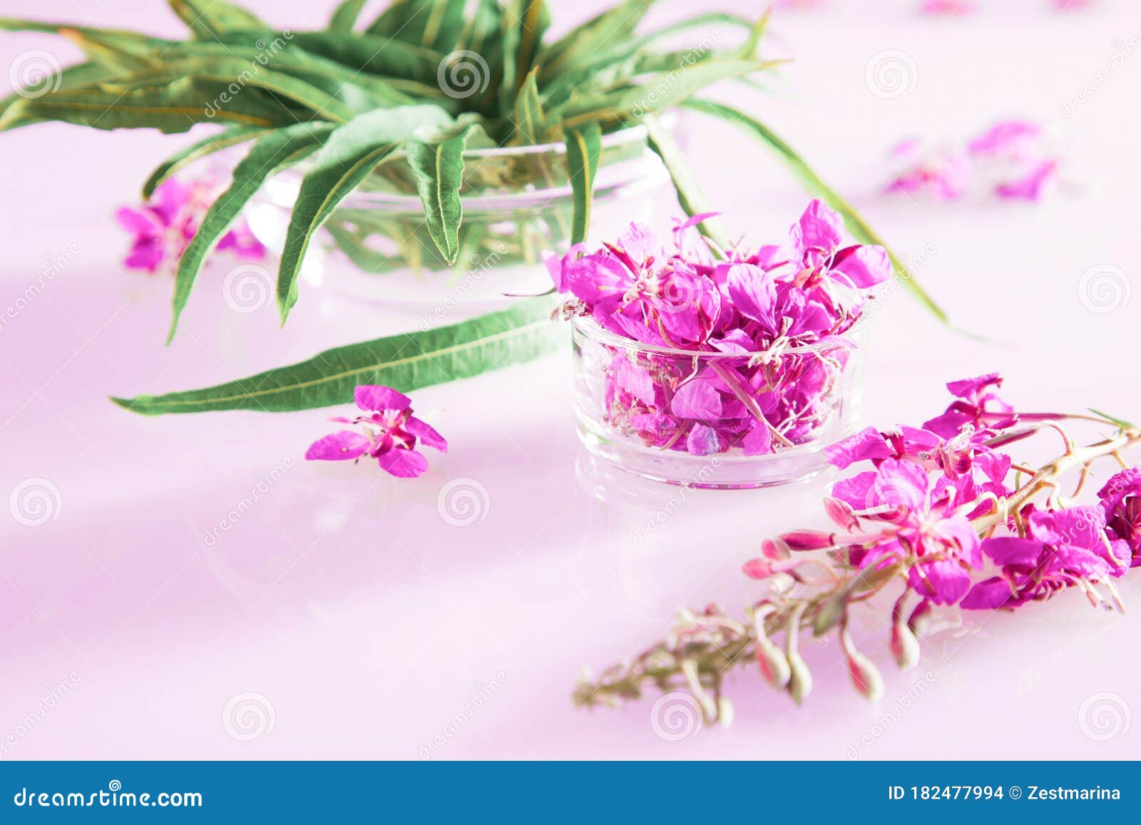 Beautiful Spring Composition of Fresh Willow-herb Flowers and Leaves ...