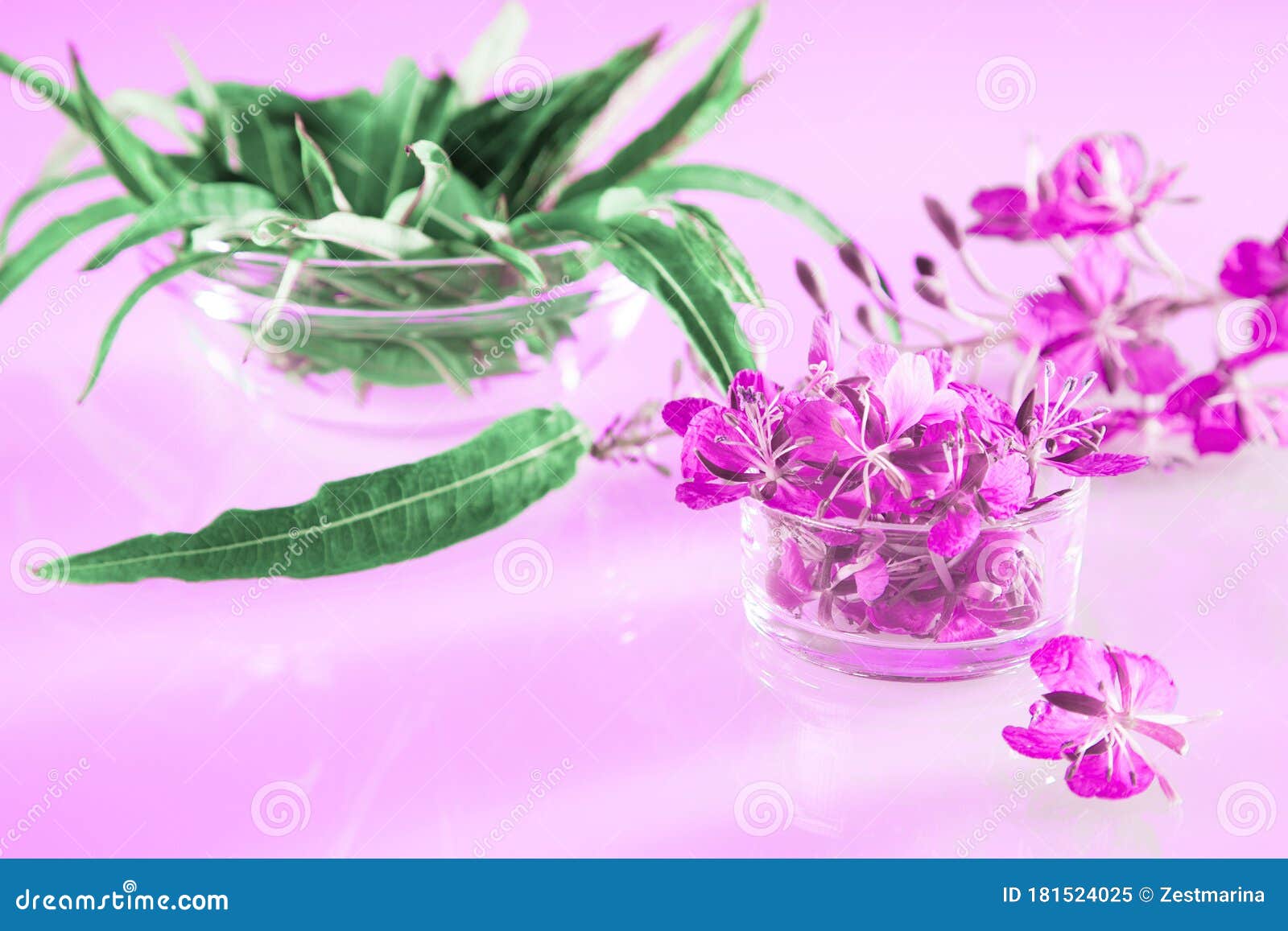 Beautiful Spring Composition of Fresh Willow-herb Flowers and Leaves ...