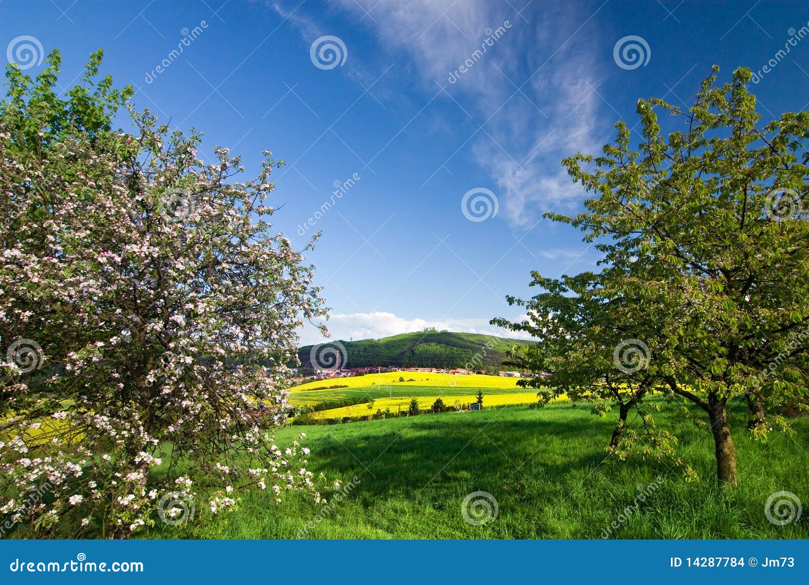Beautiful Spring Countryside Stock Photo - Image of landscape, green ...