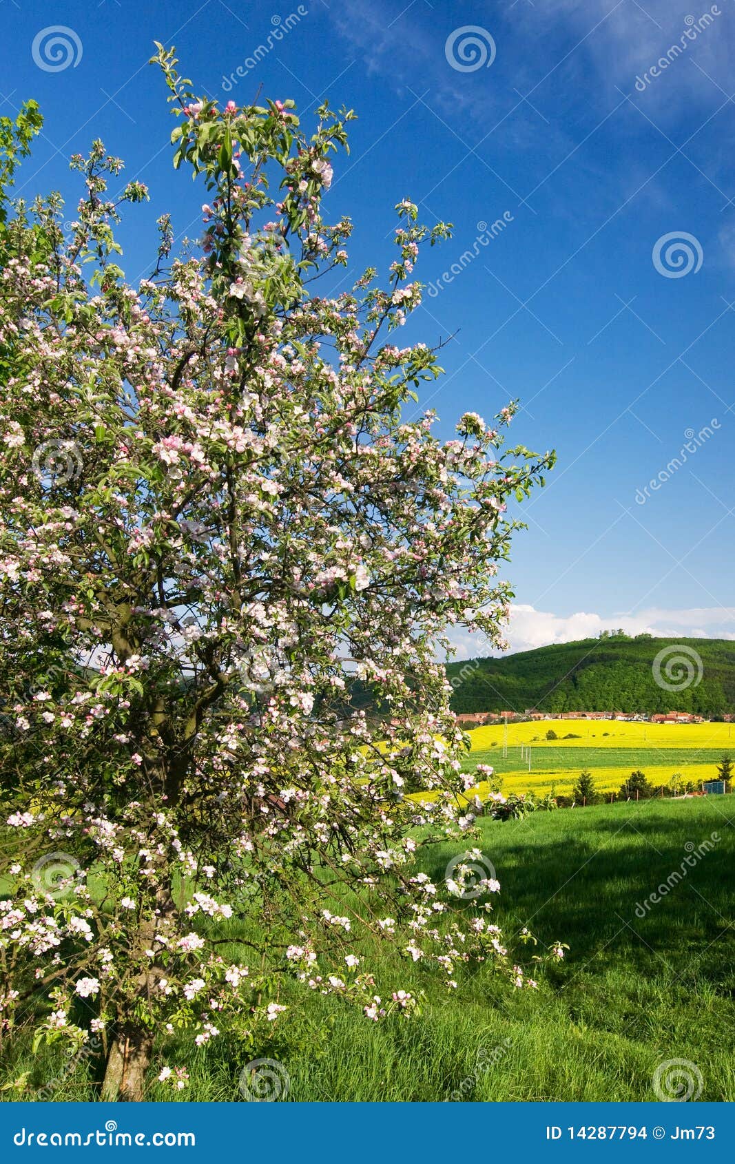 Beautiful Spring Countryside Stock Photo - Image of field, grass: 14287794