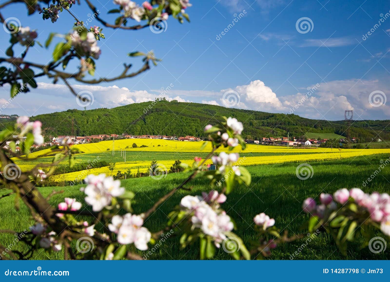 Beautiful Spring Countryside Stock Photo - Image of spring, plant: 14287798
