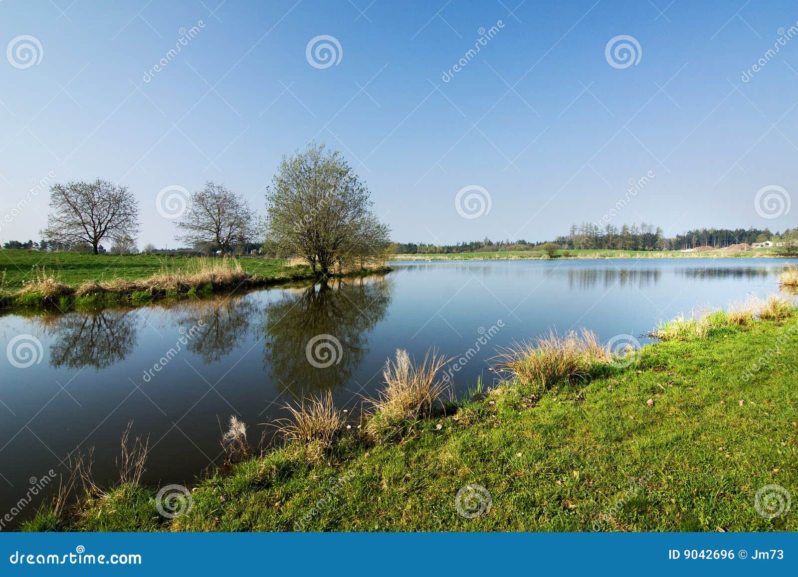 Beautiful Spring Countryside with the Pond Stock Photo - Image of scene ...