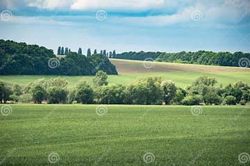 Beautiful Spring Field with the Blue Sky Stock Photo - Image of country ...