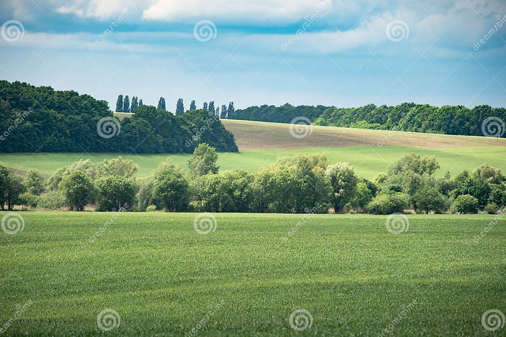 Beautiful Spring Field with the Blue Sky Stock Photo - Image of country ...