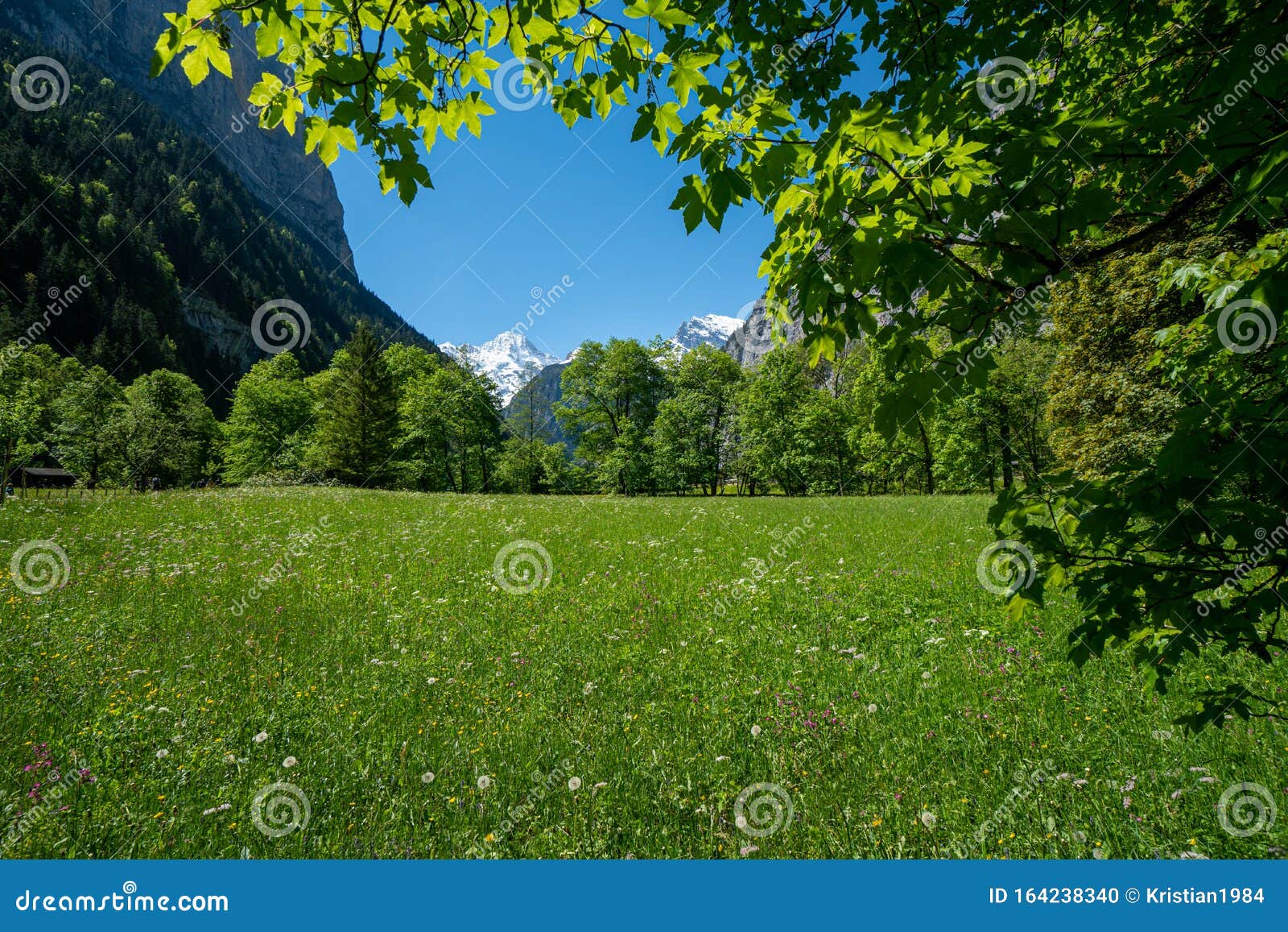 Beautiful Spring Field with Trees and Rocks in the Background Stock ...