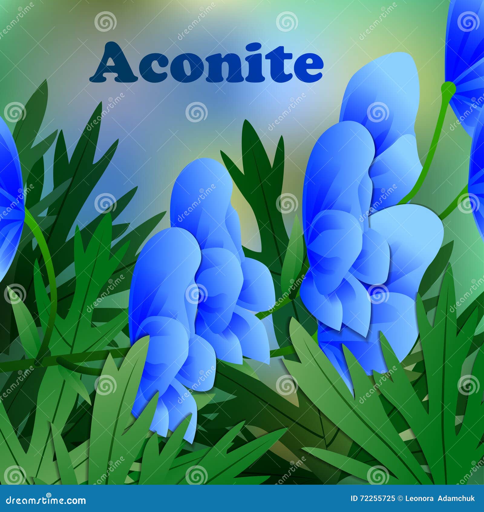 Beautiful Spring Flowers Aconite. Cards or Your Design with Space for ...