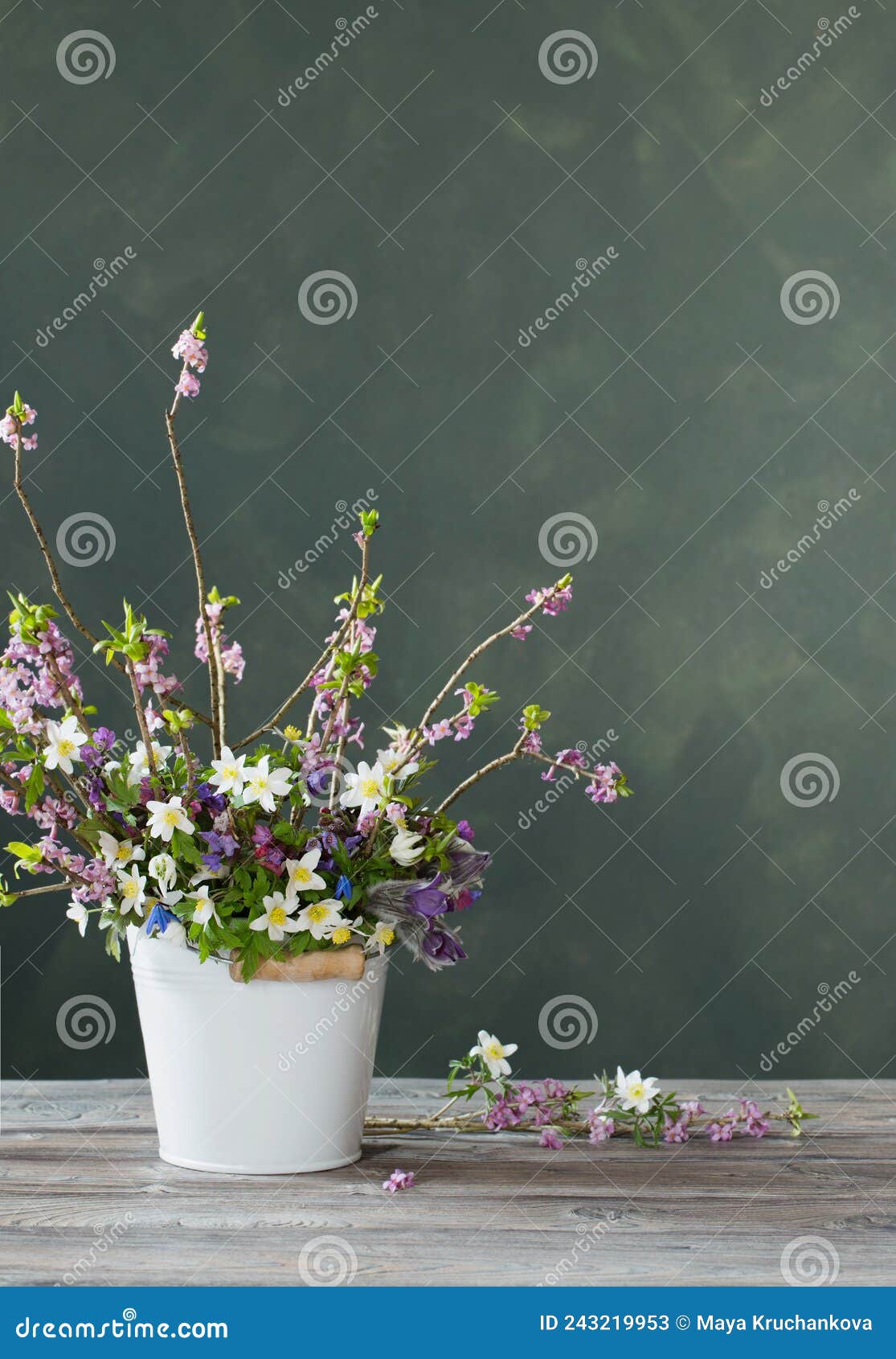 Spring Flowers on Background Dark Wall Stock Image - Image of green ...