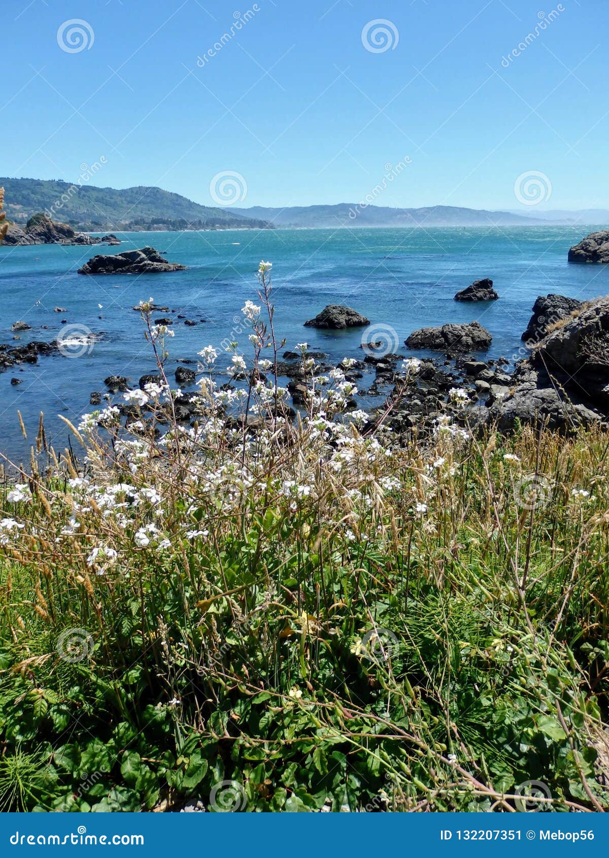 Spring by the sea stock image. Image of overlooking - 132207351