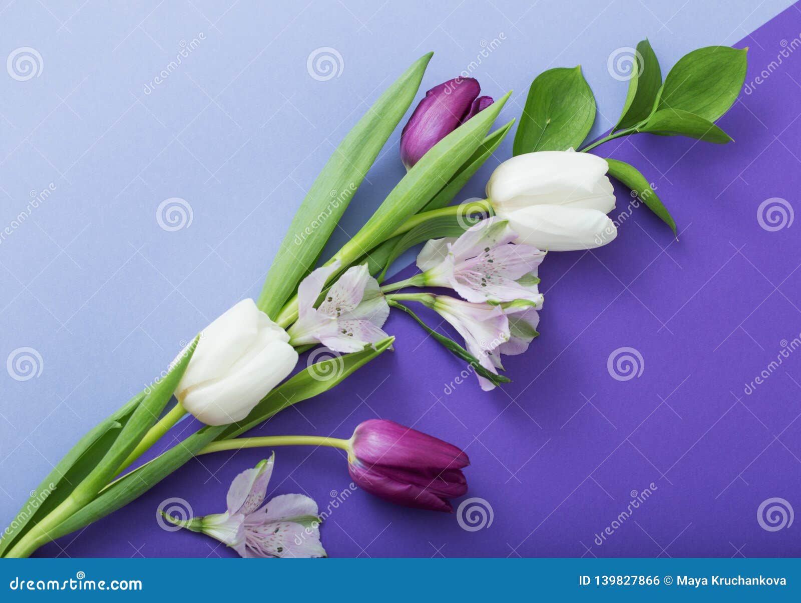 Spring Flowers on Paper Background Stock Photo - Image of flower, space ...