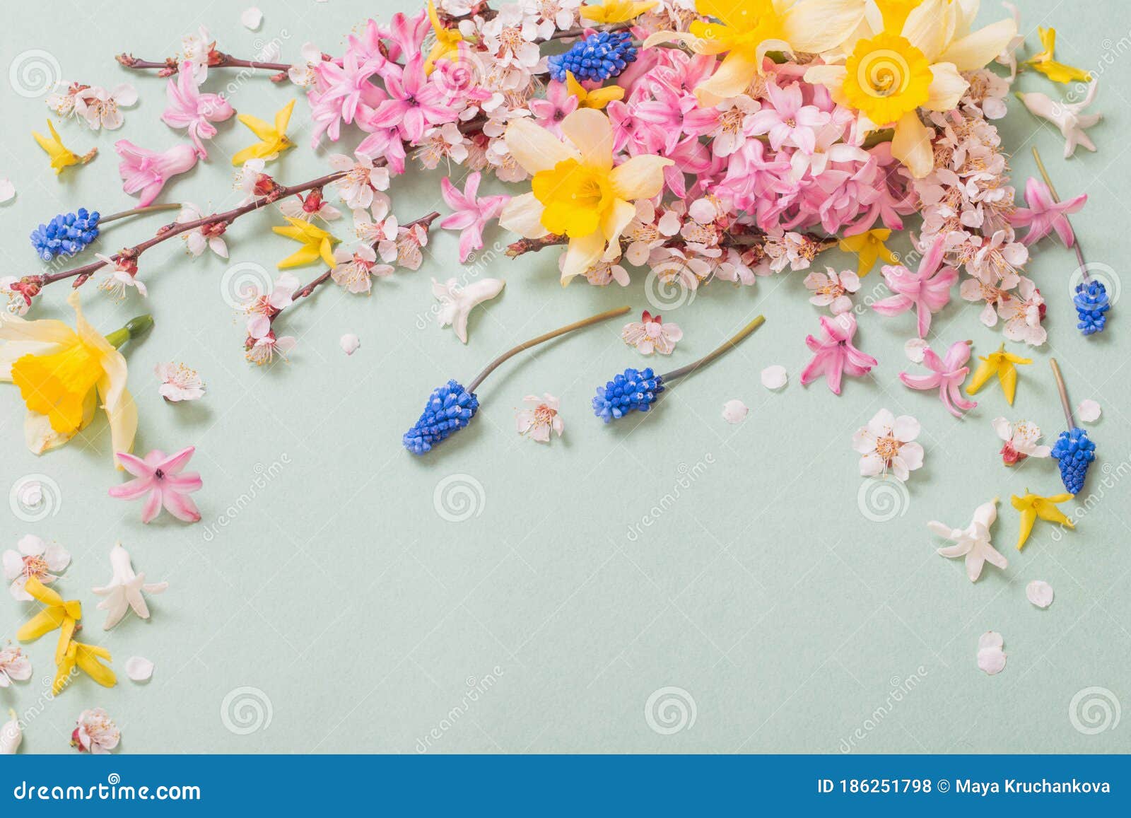 Spring Flowers on Paper Background Stock Photo - Image of blue ...