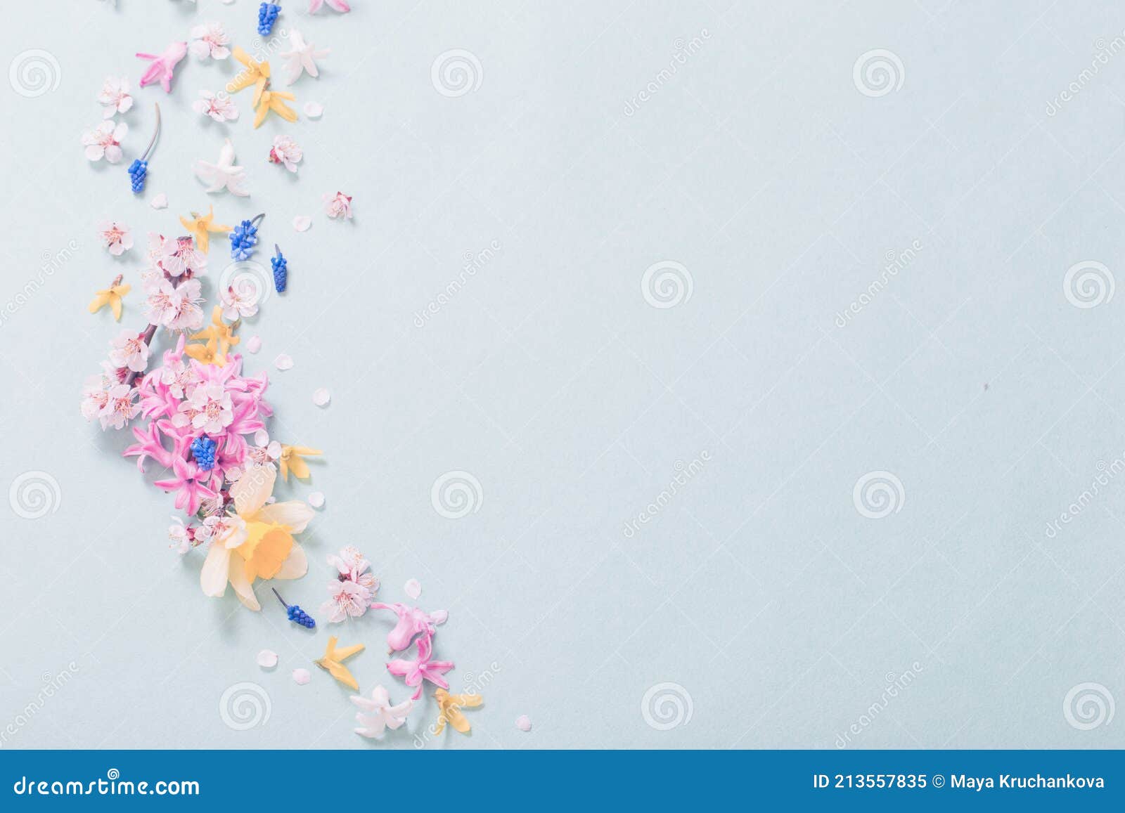 Spring Flowers on Paper Background Stock Image - Image of beauty ...