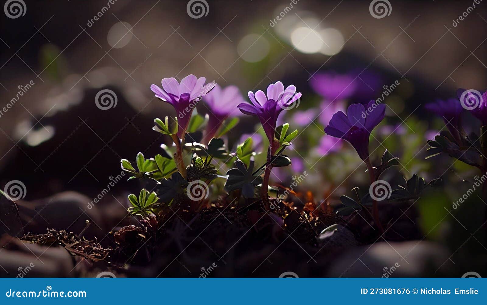 Beautiful Spring Flowers Sprouting in Nature Stock Illustration ...