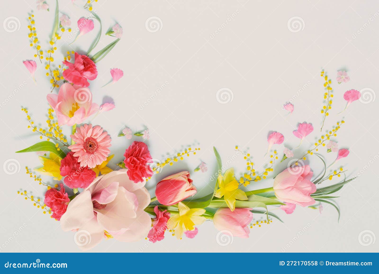 Beautiful Spring Flowers on White Background Stock Photo - Image of ...
