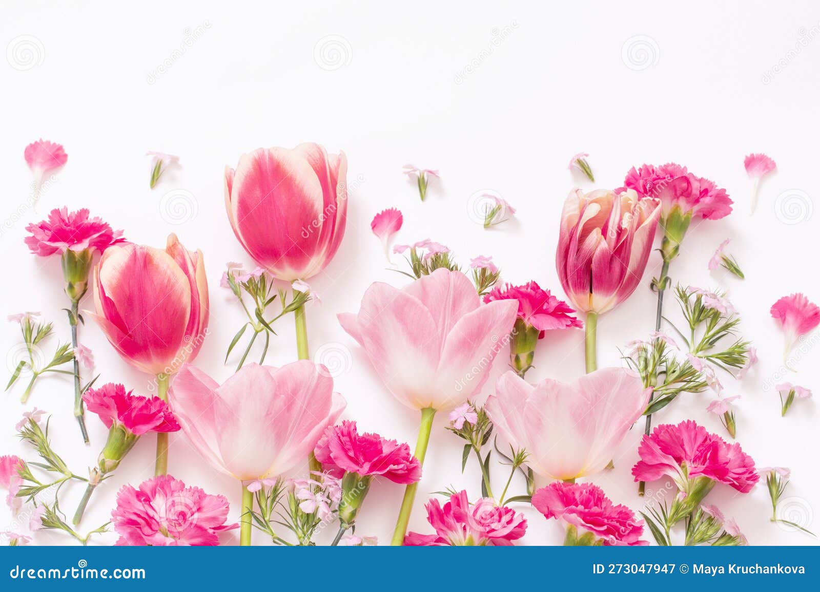 Beautiful Spring Flowers on White Background Stock Image - Image of ...