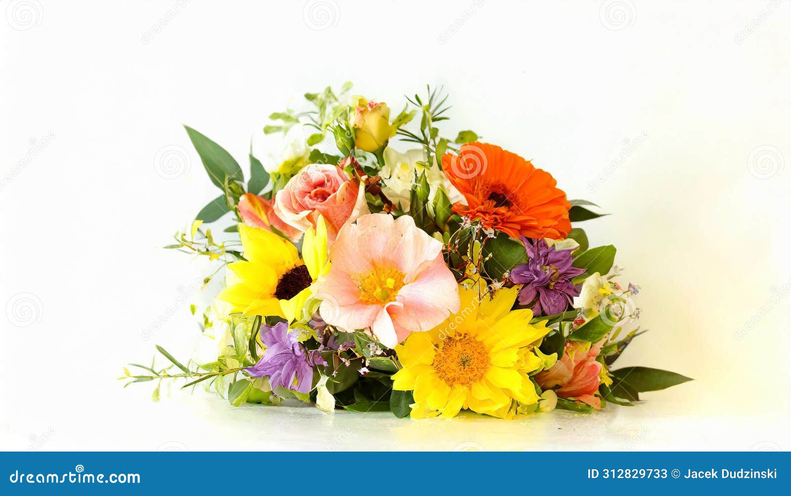 Beautiful Spring Flowers on White Background Stock Illustration ...