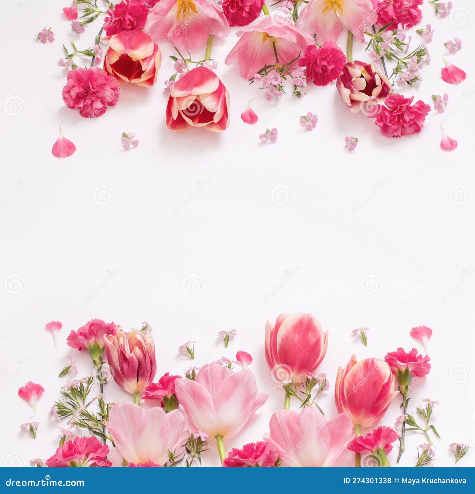 Beautiful Spring Flowers on White Background Stock Photo - Image of ...