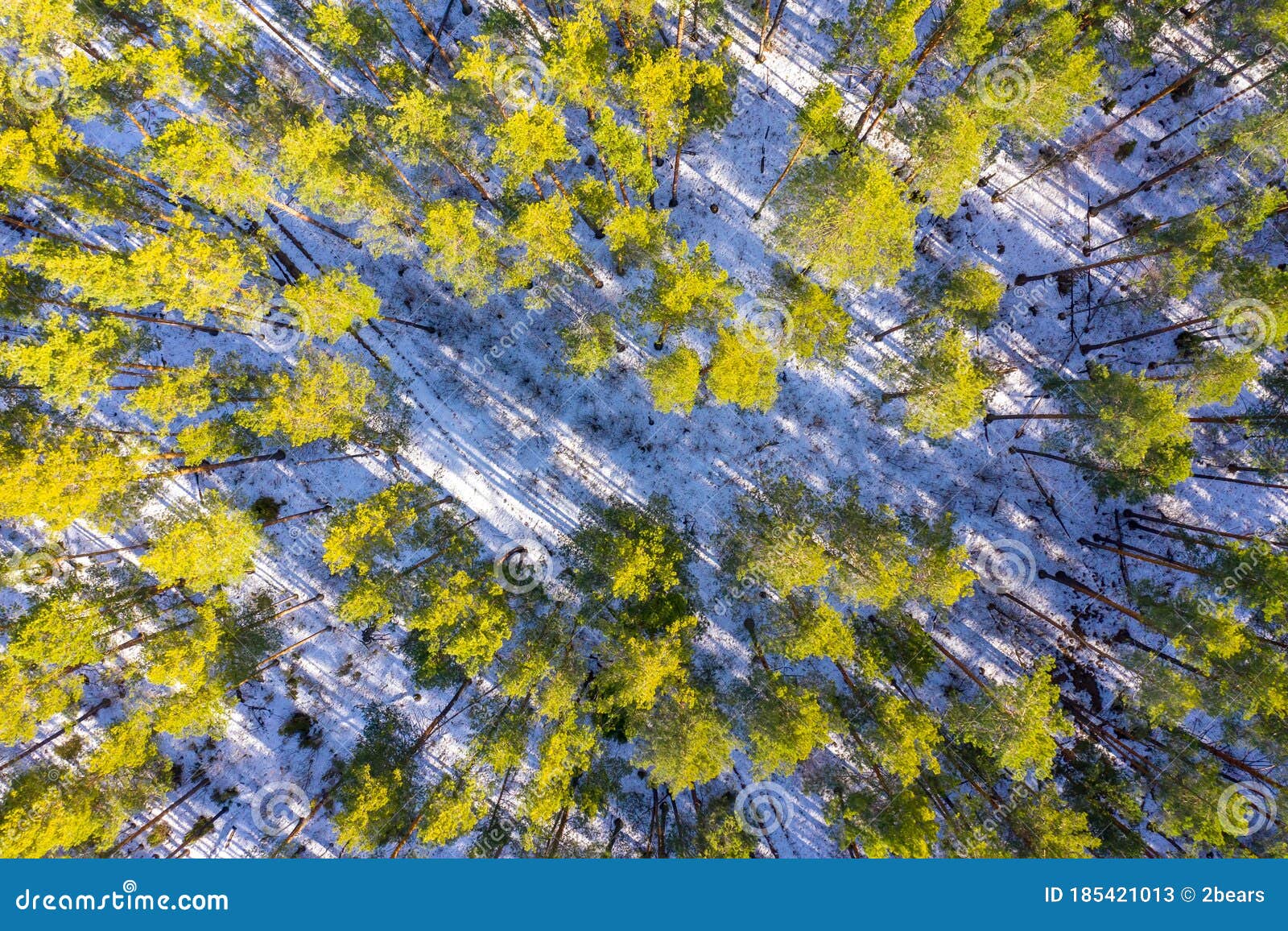Beautiful Spring Forest As Background. Aerial Top View Stock Image ...