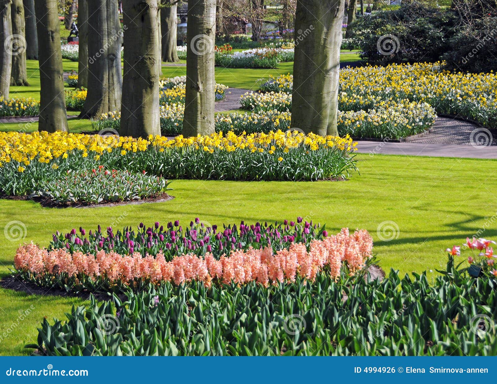 Beautiful Spring Garden