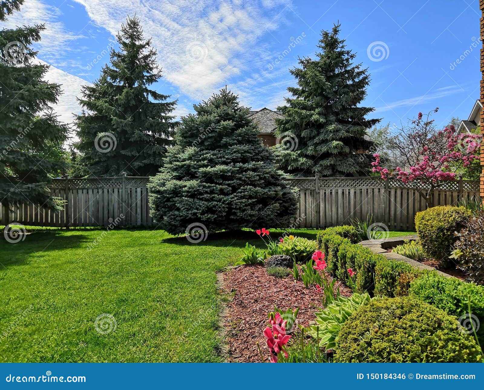 Spring Landscapes in Garden Stock Photo - Image of plants, tress: 150184346