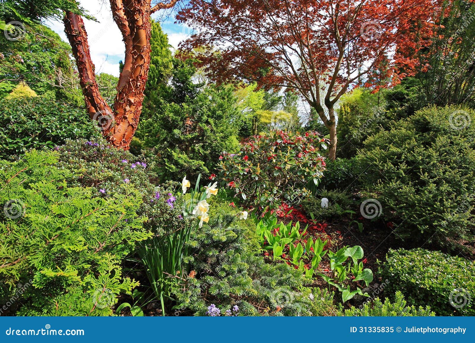 Beautiful spring garden stock image. Image of landscape - 31335835
