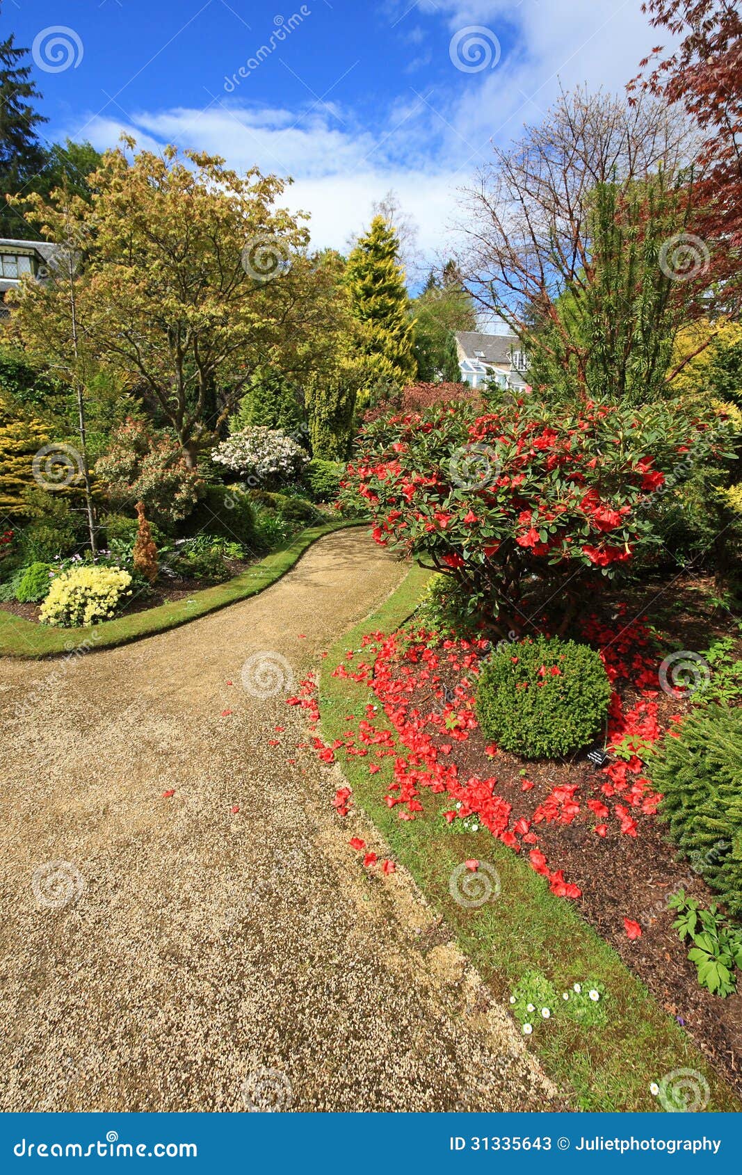 Beautiful spring garden stock image. Image of agriculture - 31335643