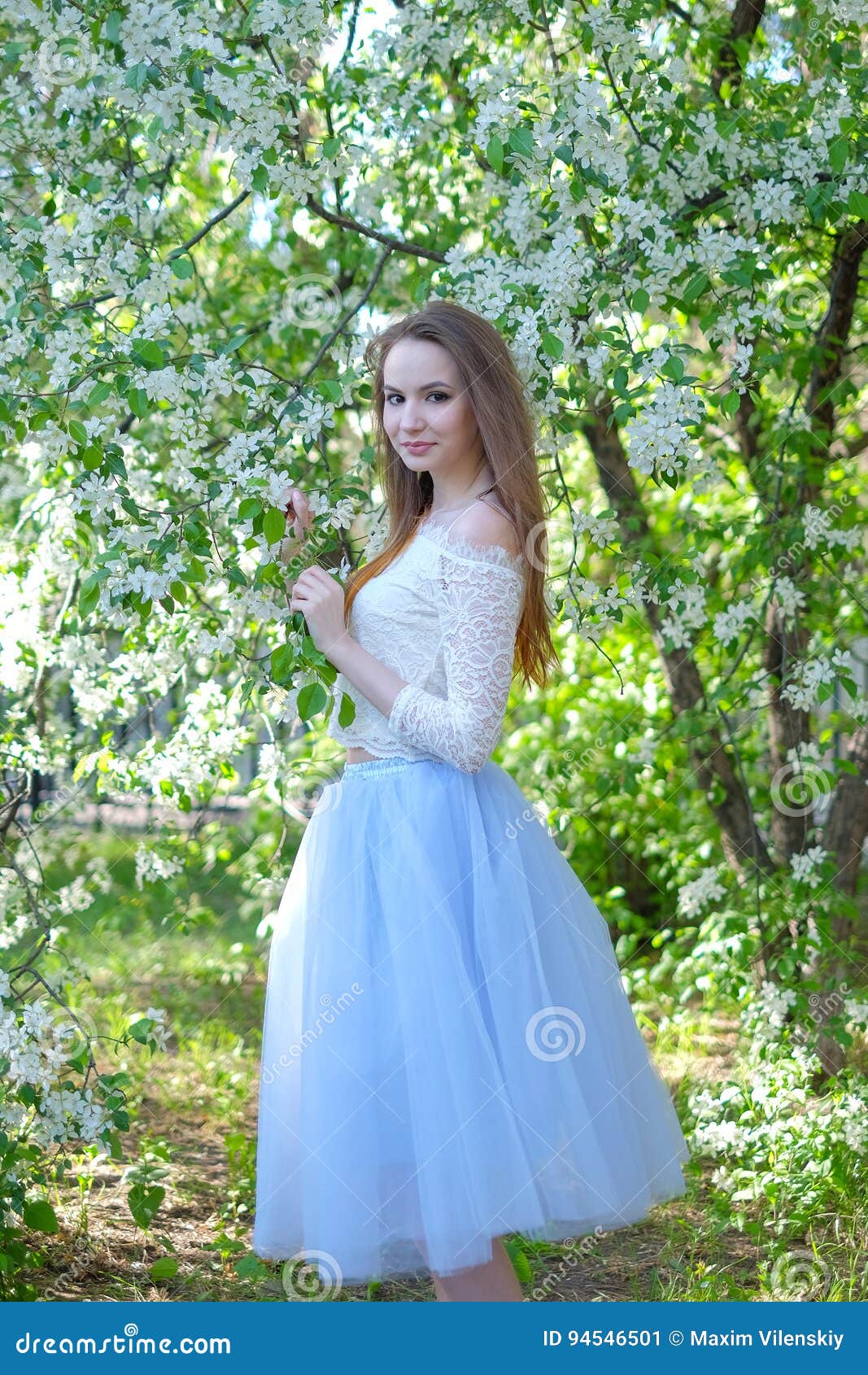 Beautiful Spring Girl in Blooming Tree Stock Image - Image of floral ...