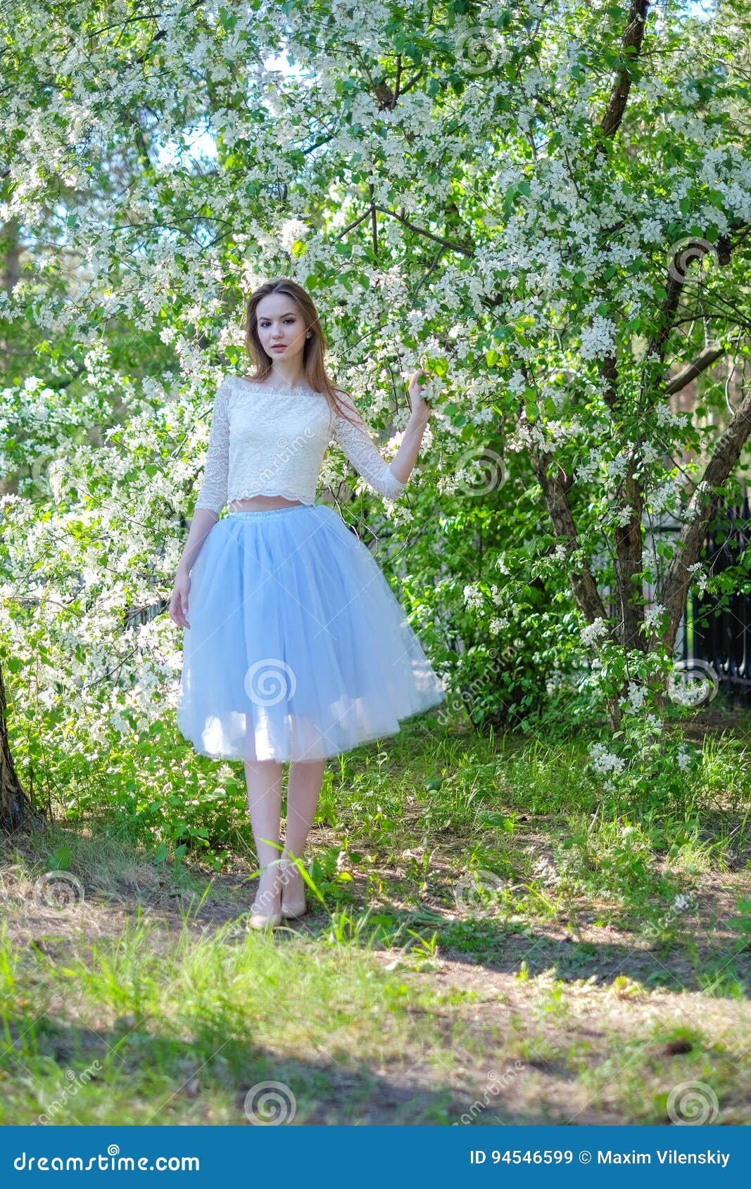 Beautiful Spring Girl in Blooming Tree Stock Image - Image of cute ...