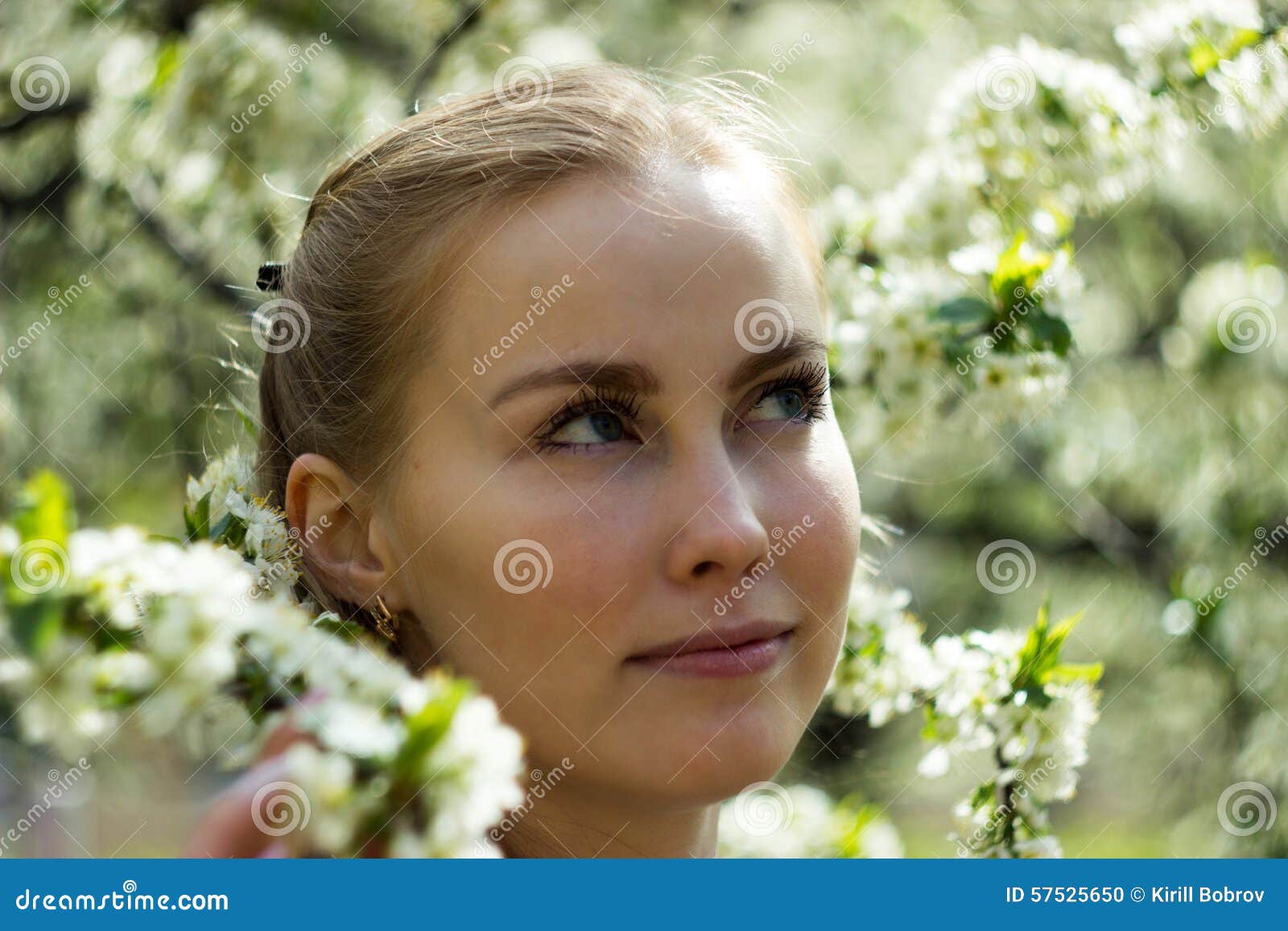 Beautiful Spring Girl in Blooming Tree Stock Photo - Image of natural ...