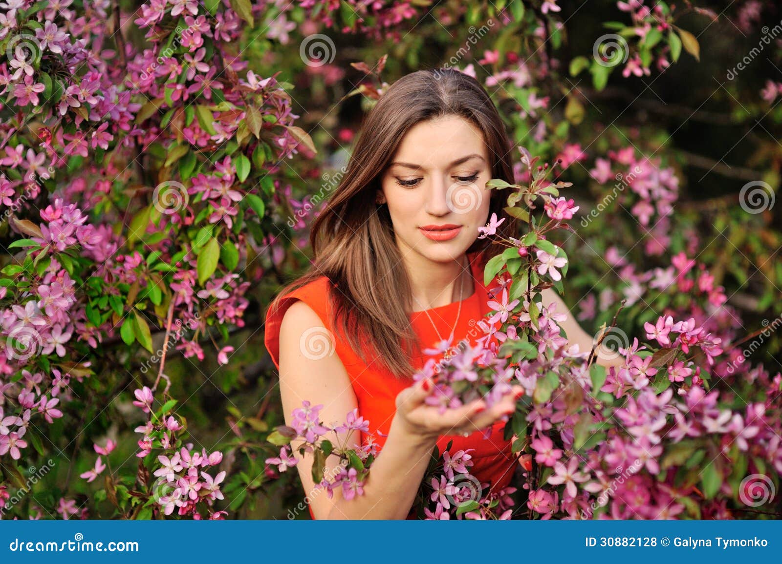 Beautiful Spring Girl stock photo. Image of magnolia - 30882128