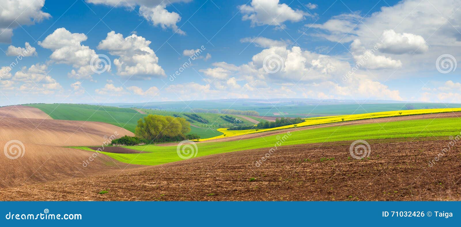Beautiful Spring Hills Landscape with Colorful Fields Stock Photo ...