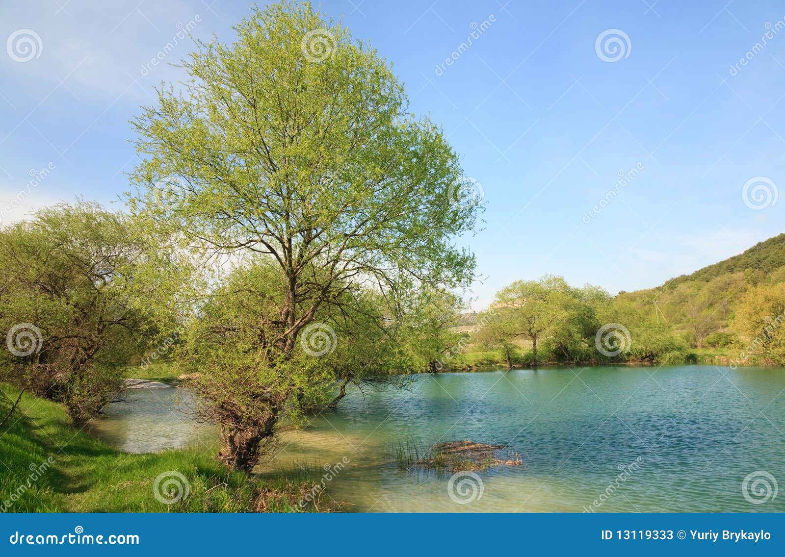Beautiful spring lake stock image. Image of ukraine, nature - 13119333