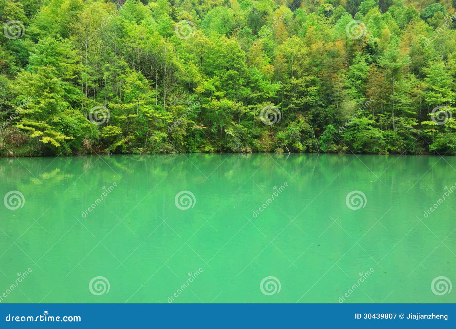 Beautiful spring stock image. Image of flavour, scenery - 30439807