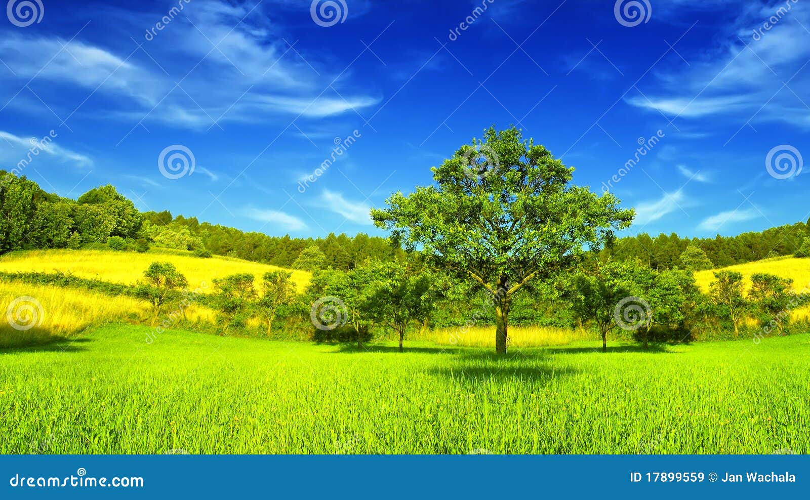 Beautiful Spring Landscape stock image. Image of orchard - 17899559