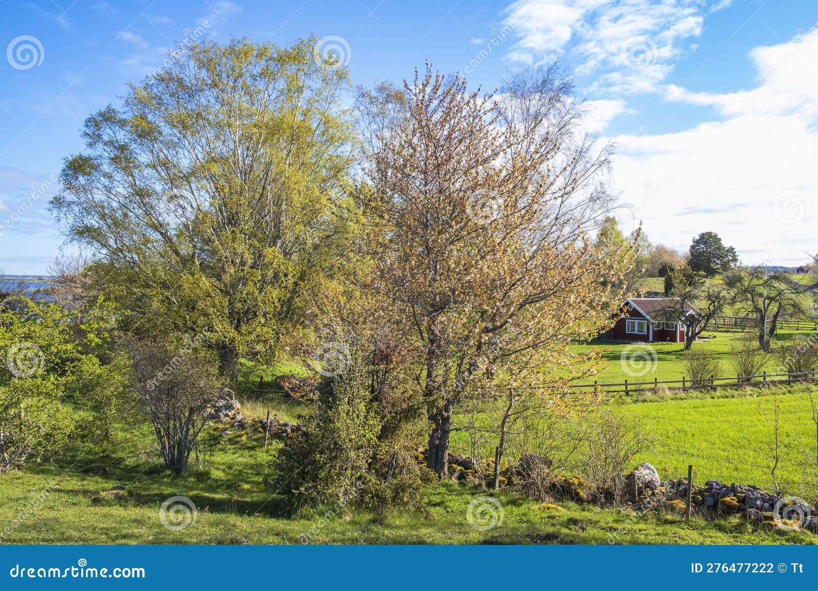Beautiful Spring Landscape with Budding Trees by a Red Cottage Stock ...