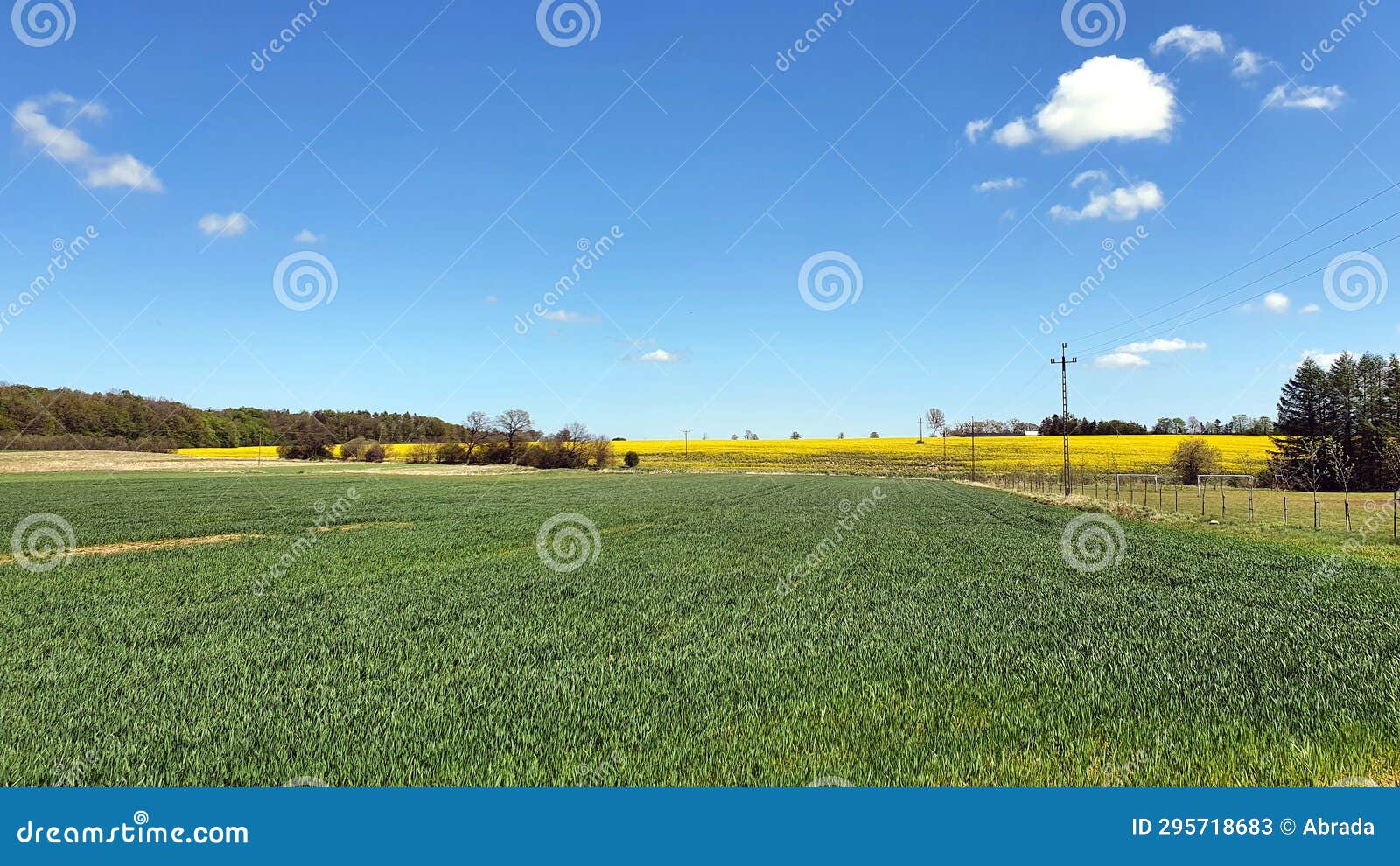 Beautiful Spring Landscape of Fields and Meadows in the Polish ...