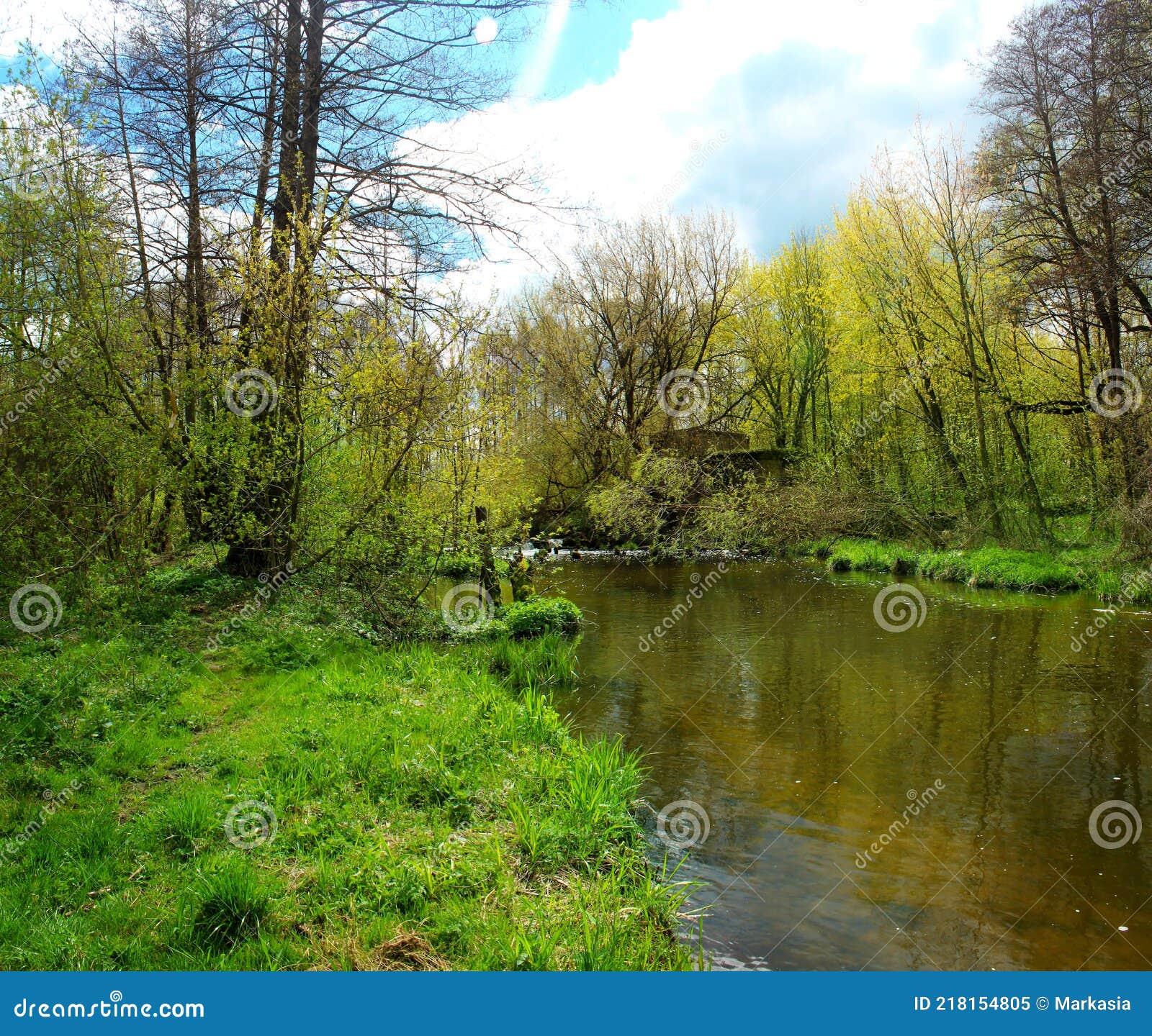 Beautiful Spring Landscape. Forest River in Spring. Stock Image - Image ...