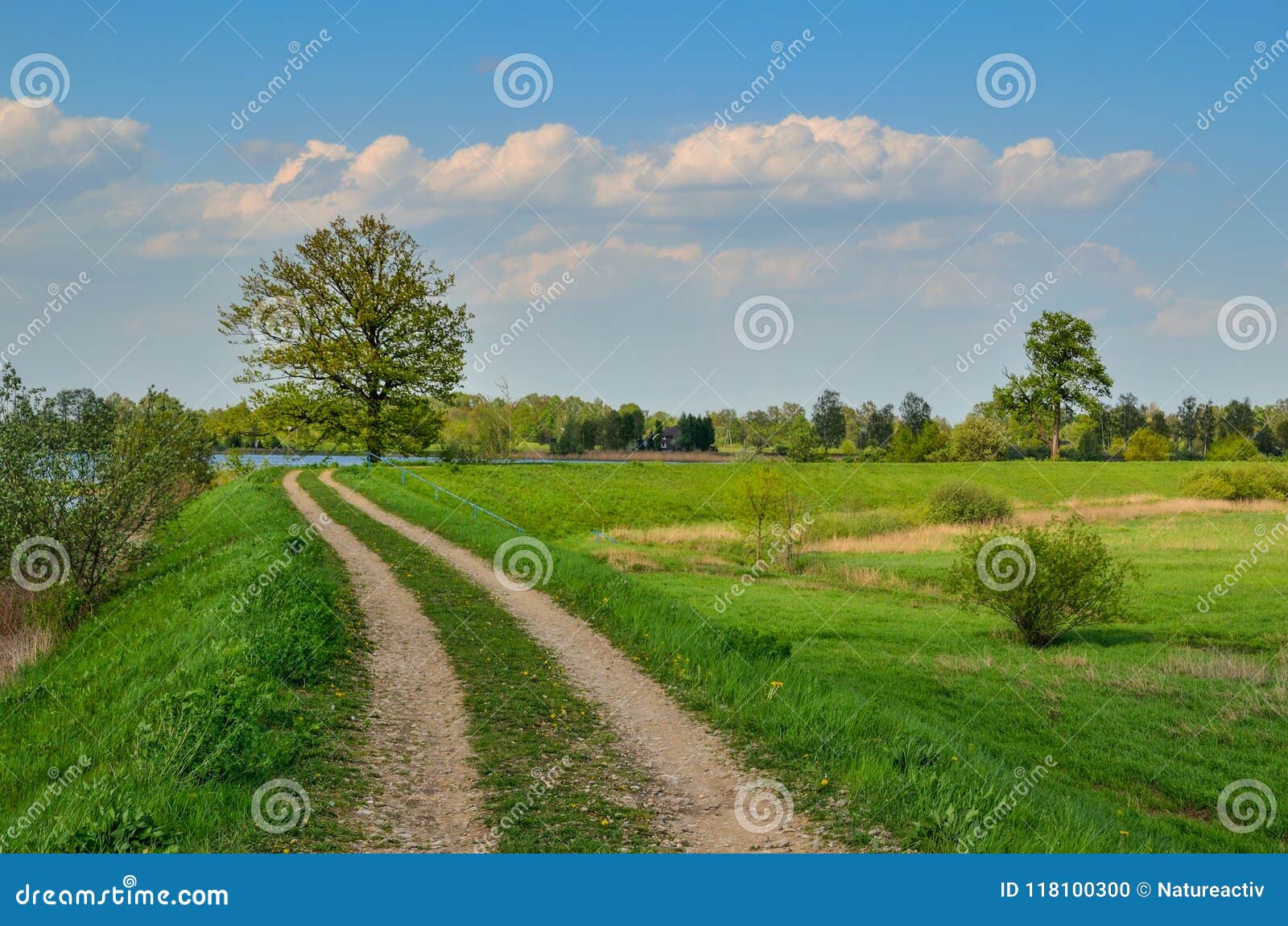 Beautiful Spring Landscape. Stock Photo - Image of branch, scenery ...