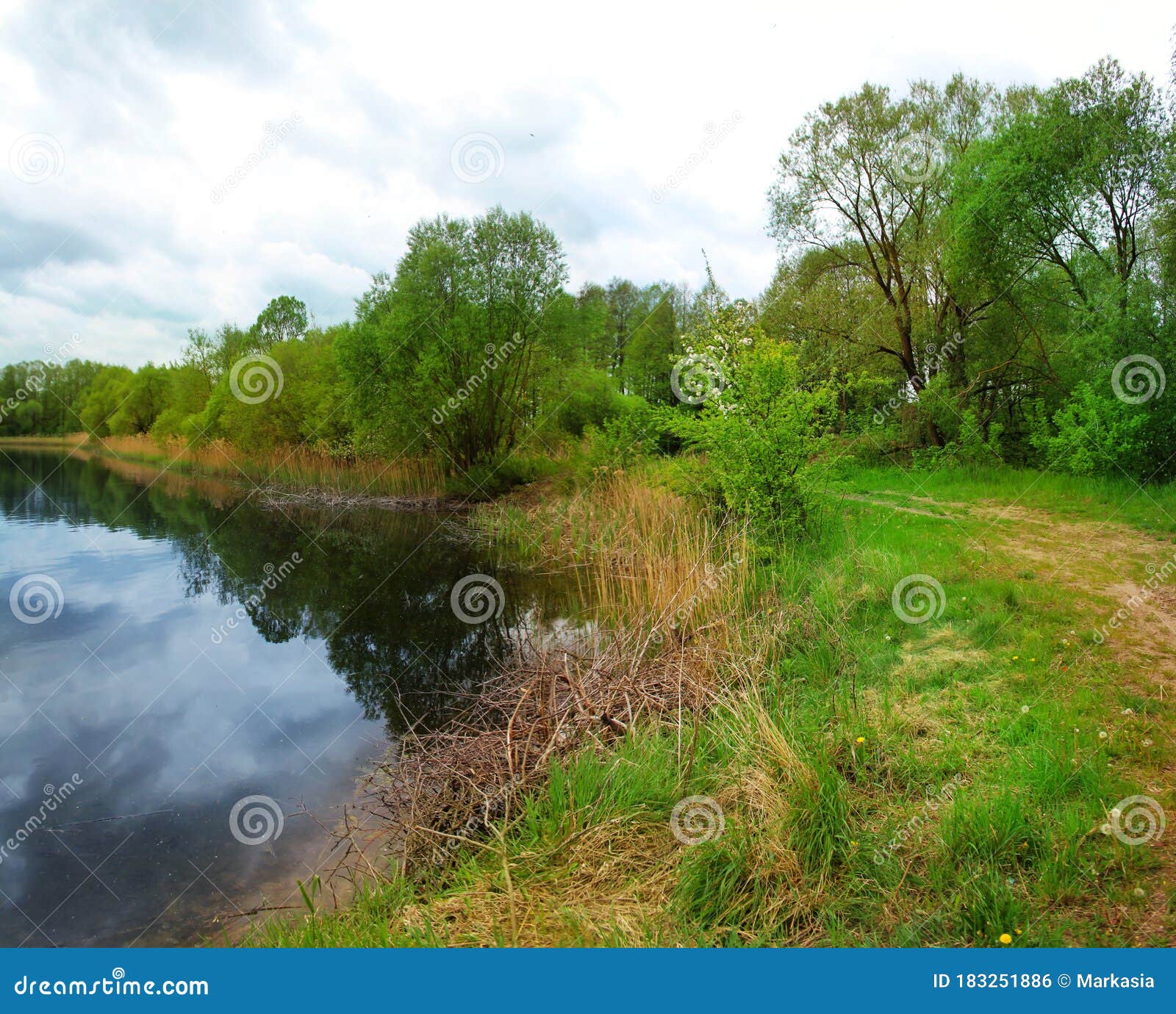 Beautiful Spring Landscape. Lake. Stock Photo - Image of landscape ...