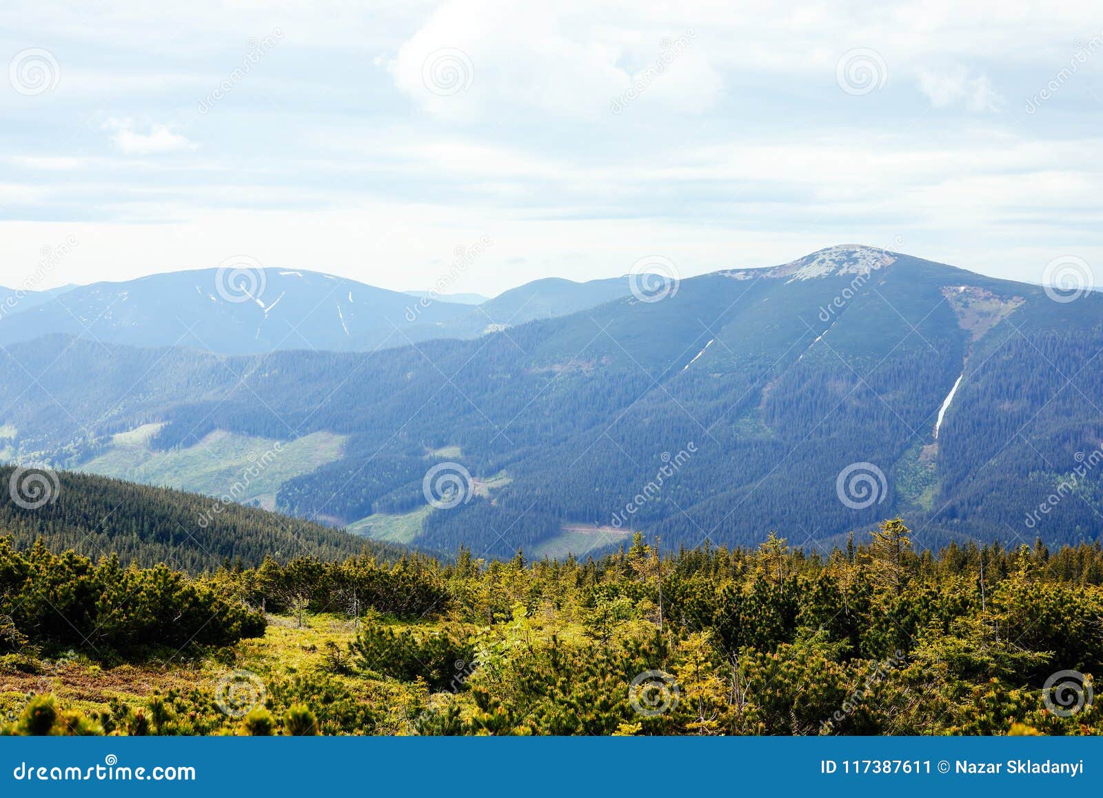 Nature View in Forest in Spring Time Stock Image - Image of cloud, dark ...
