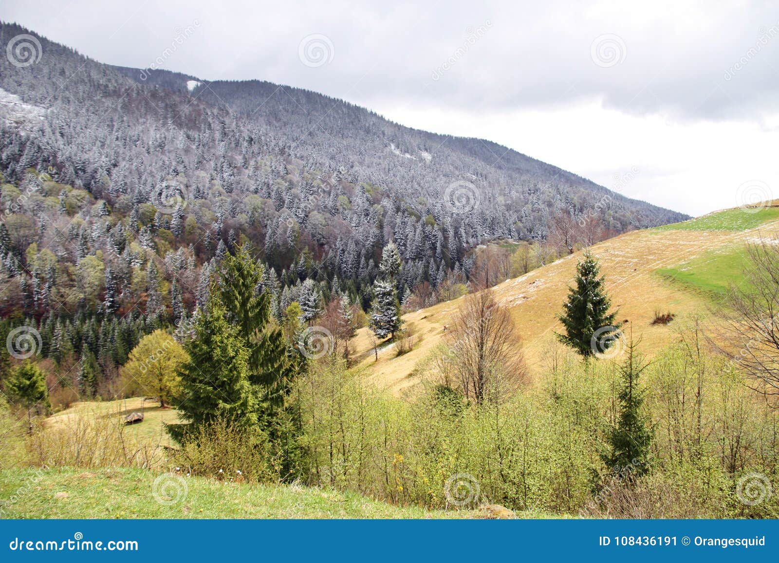 Beautiful Spring Landscape in the Mountains. Stock Image - Image of ...
