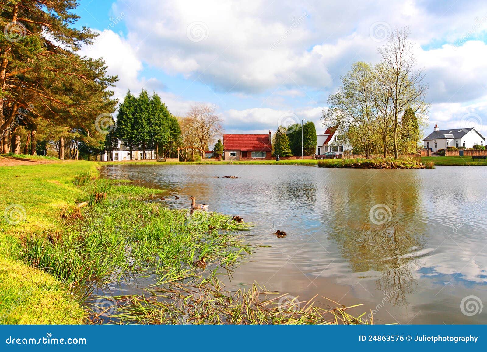 Beautiful Spring Landscape with a Pond, Scotland Stock Photo - Image of ...