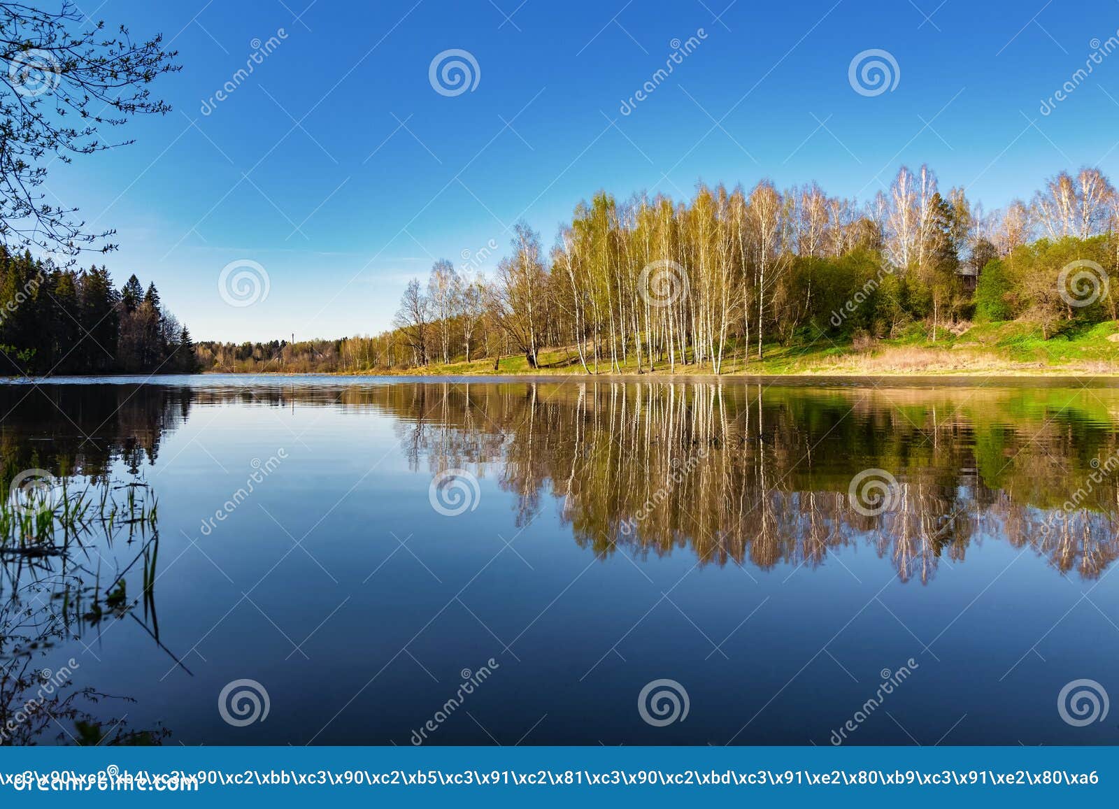 Beautiful Spring Landscape. Reflection of the Blue Cloudless Sky and ...