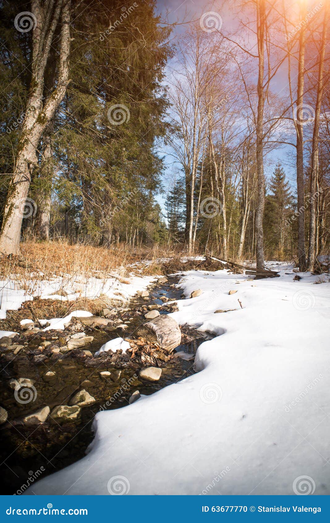 Beautiful Spring Landscape with the River and the Stock Photo - Image ...