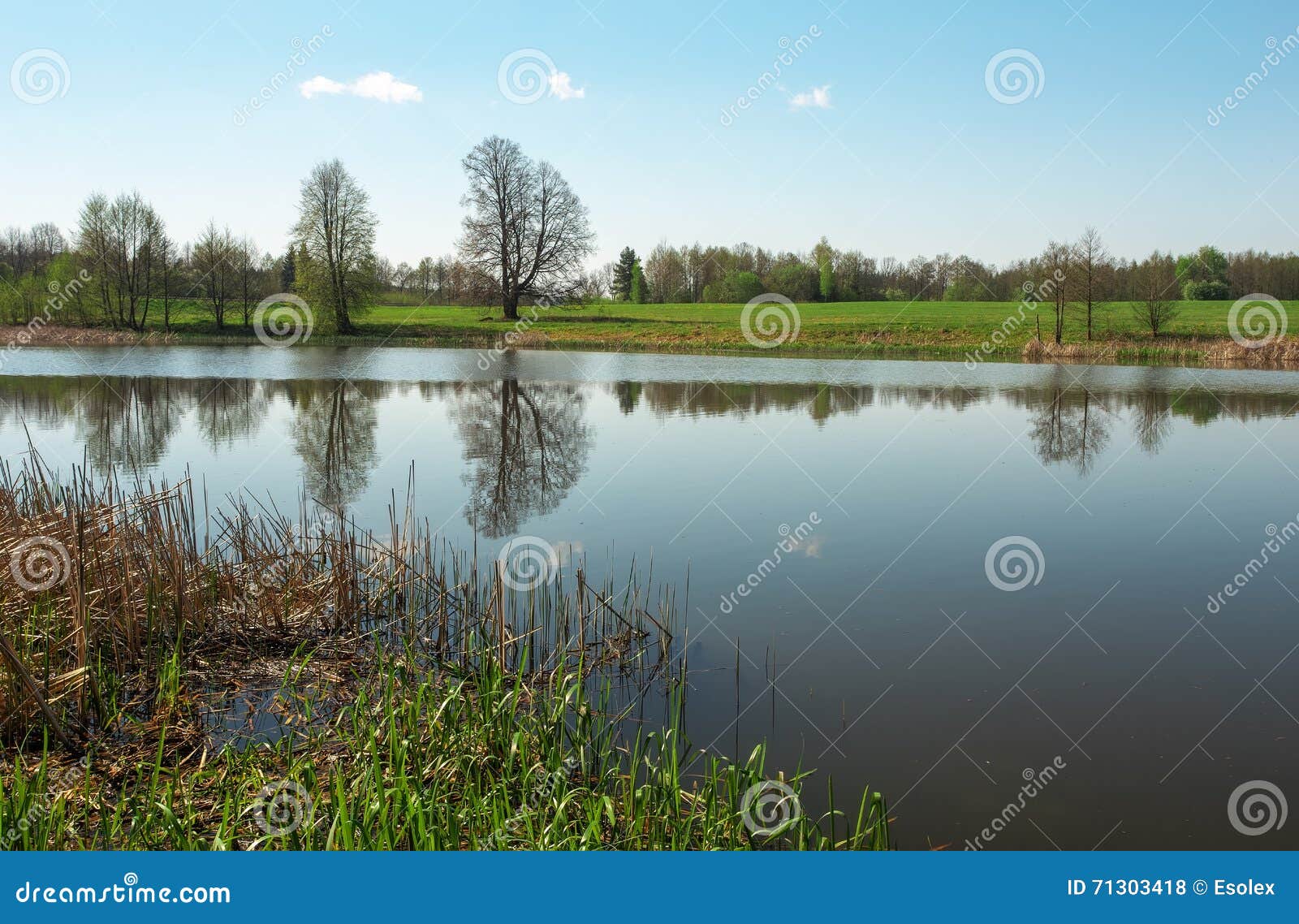 Beautiful Spring Landscape with River, Trees and Blue Sky. Stock Photo ...