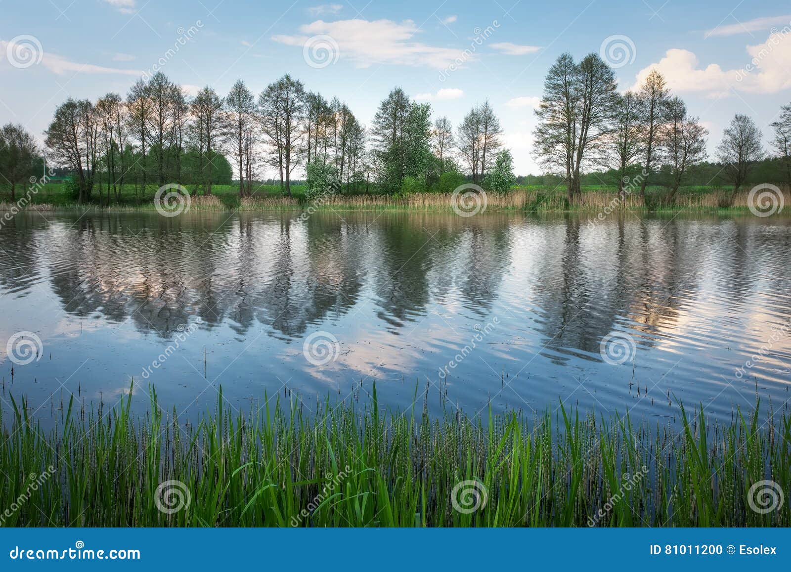 Beautiful Spring Landscape with River, Trees and Blue Sky. Stock Photo ...