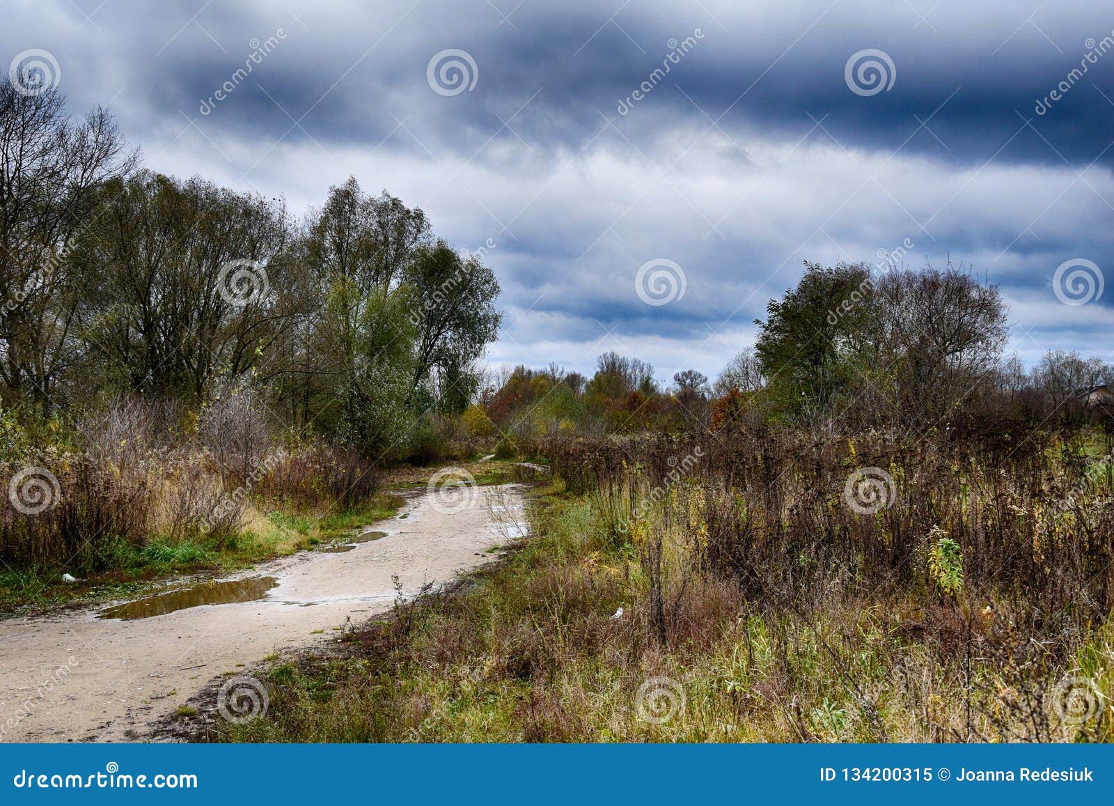 Spring Landscape with Trees and a Wide Meadow Path Stock Image - Image ...